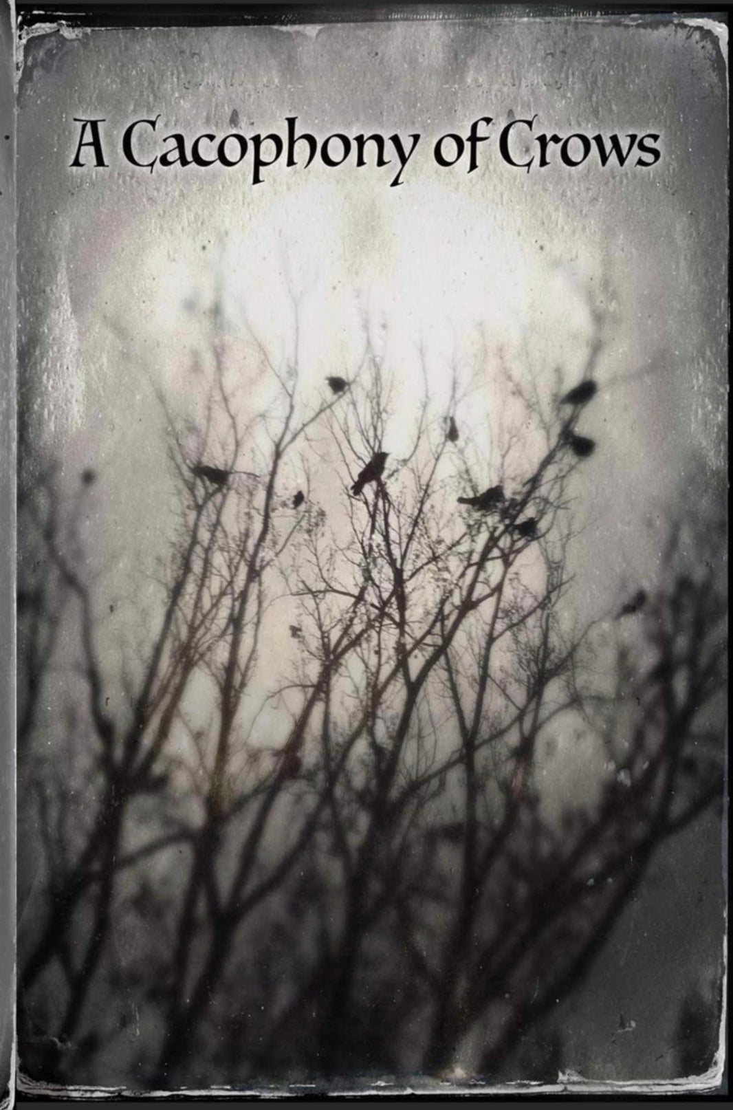 The Rougarou Krewe – bayou rougarou krewe